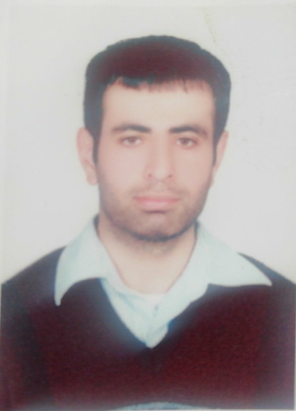 About me - Ali Jamali